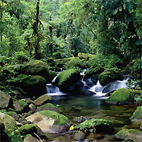 Vacation Packages | Custom Vacation Packages | Tripmasters